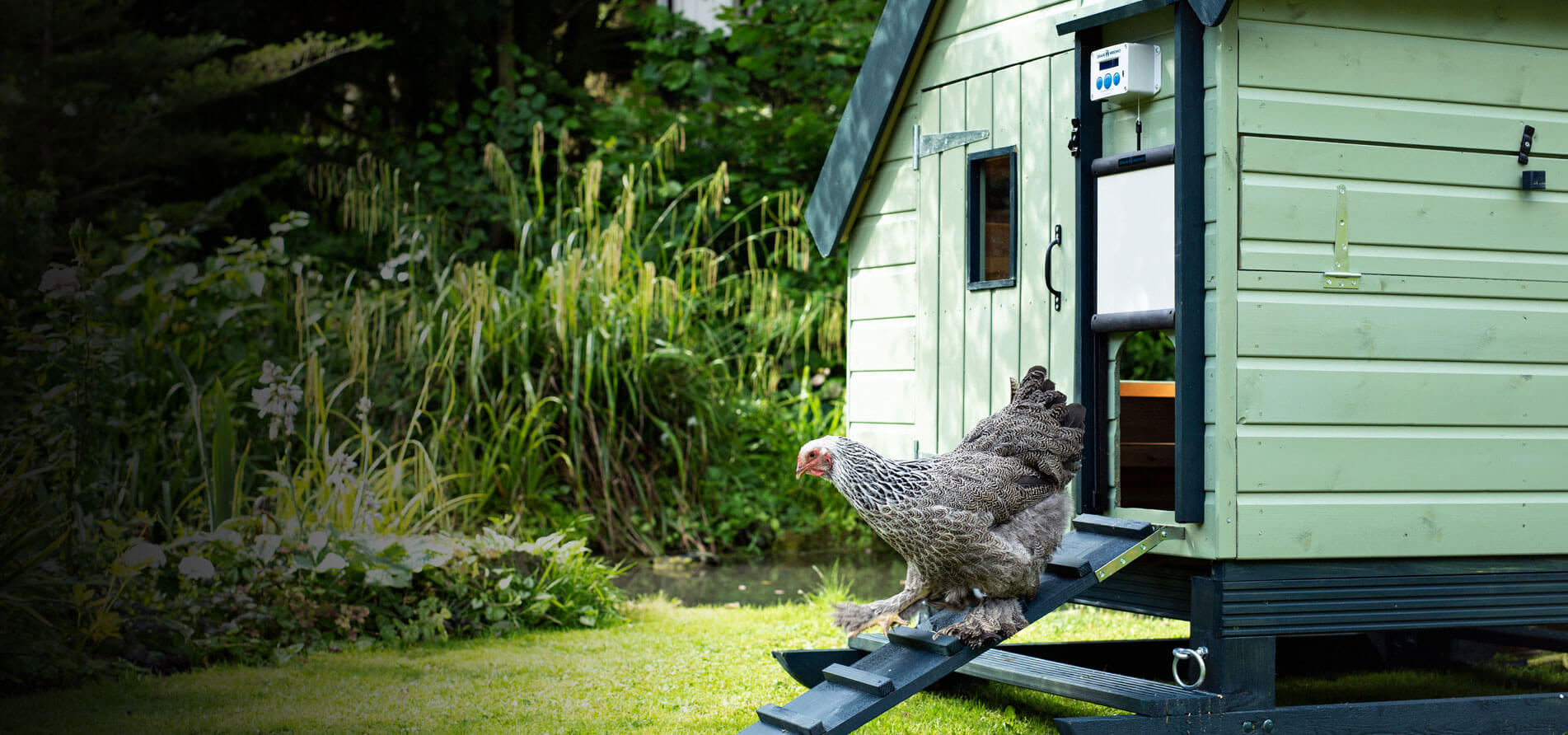 The Worlds Best Automatic Chicken Door Opener - ChickenGuard